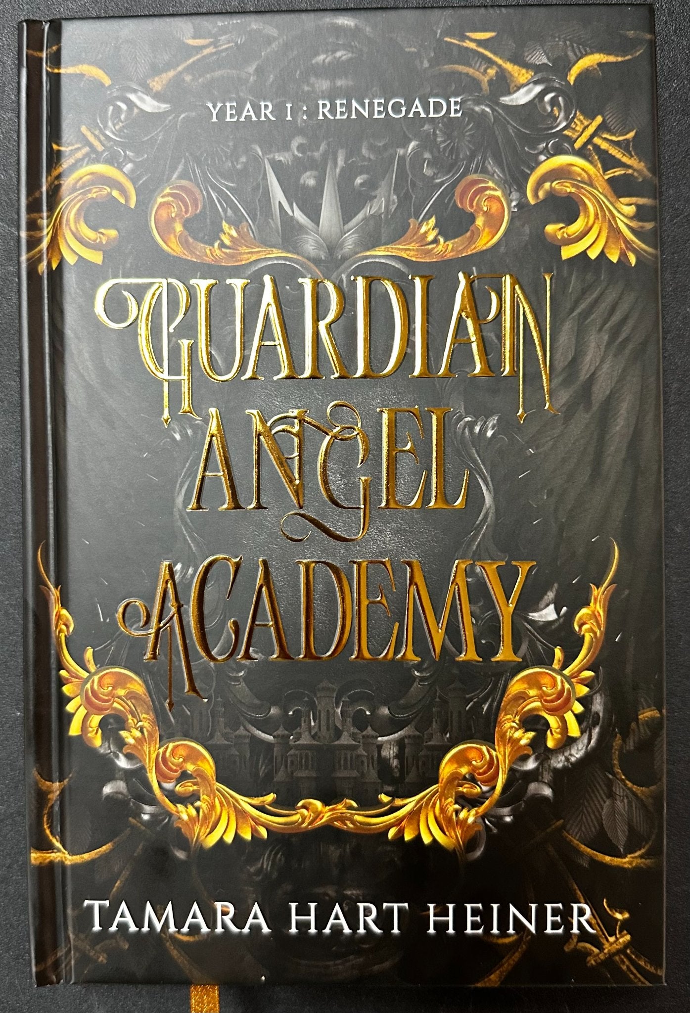 Renegade: Guardian Angel Academy Year 1 (Special Edition) – Closed Door ...